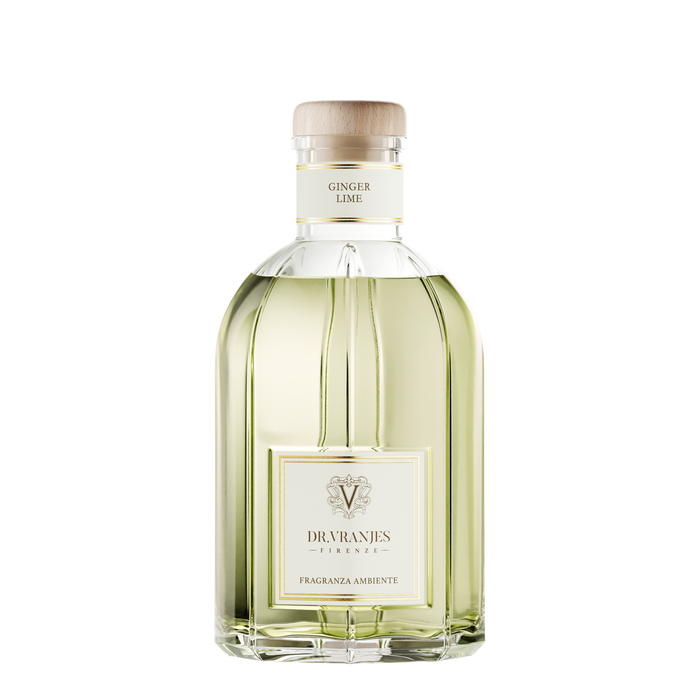 Diffuser - Ginger Lime – AROWONEN