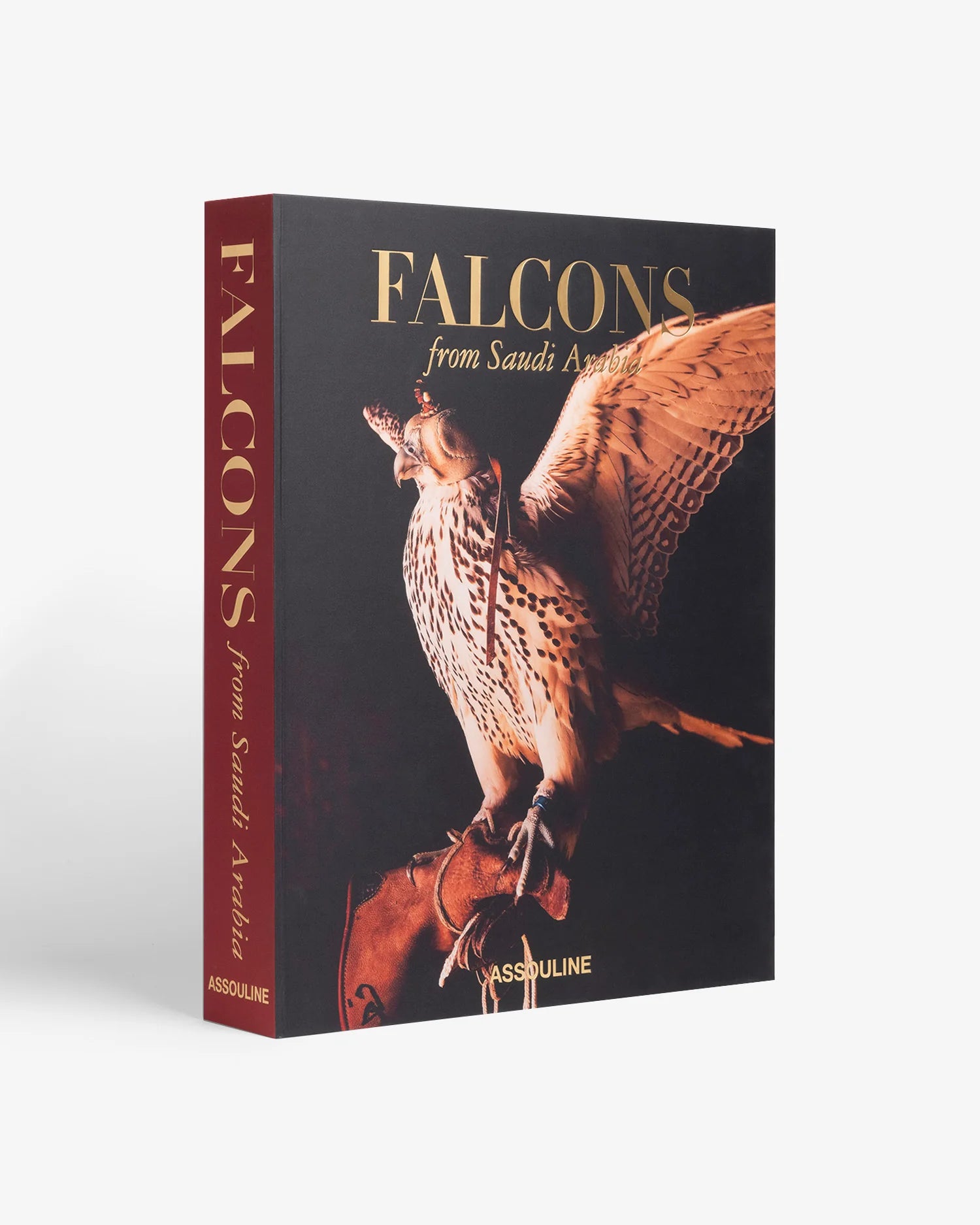 Book - Falcons From Saudi Arabia – AROWONEN